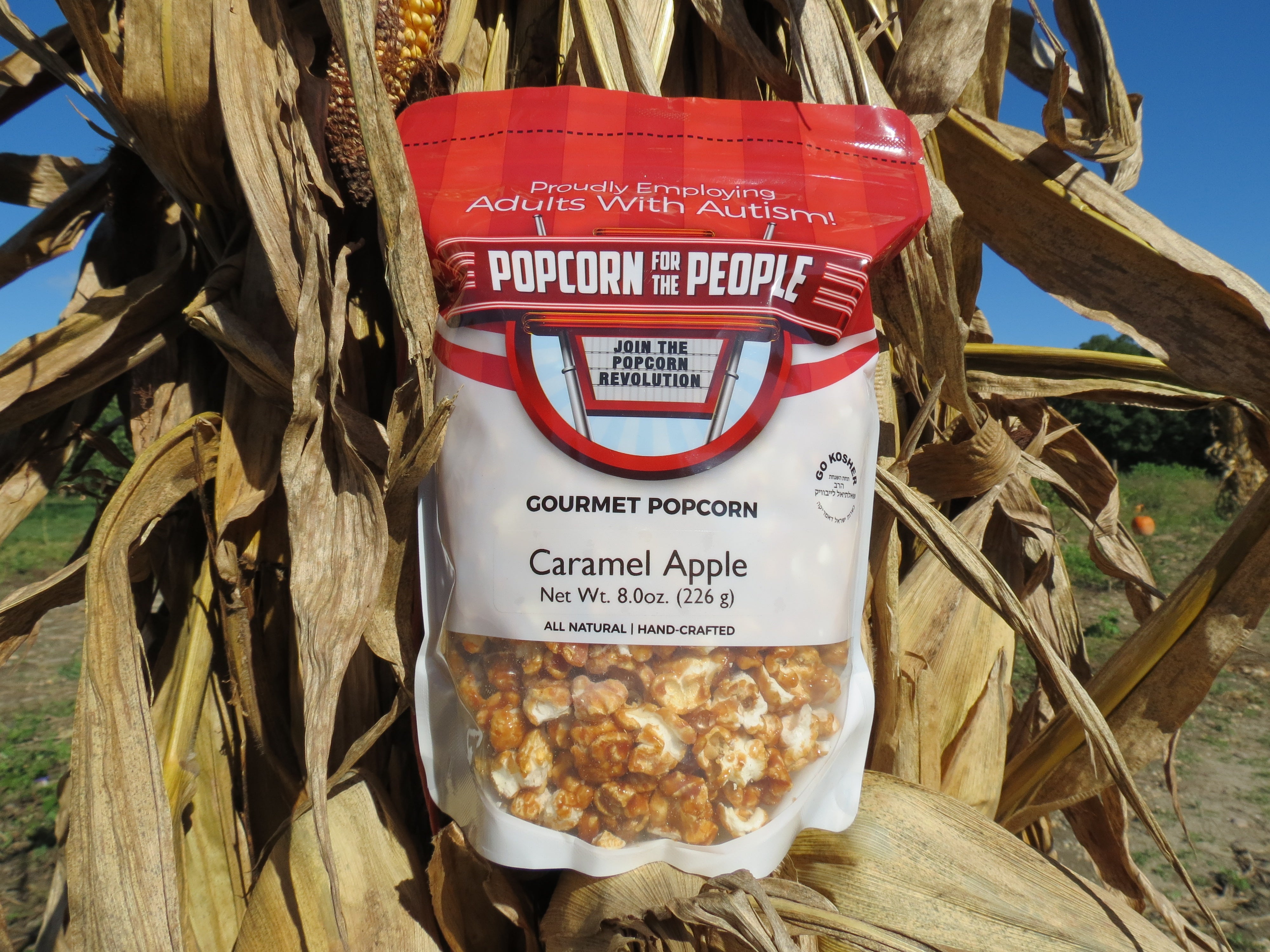 The Different Types of Corn – Popcorn for the People